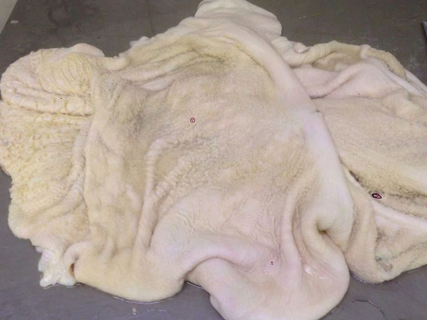 Рубец говяжий очищенный(как на фото) Куски 2-3 кг