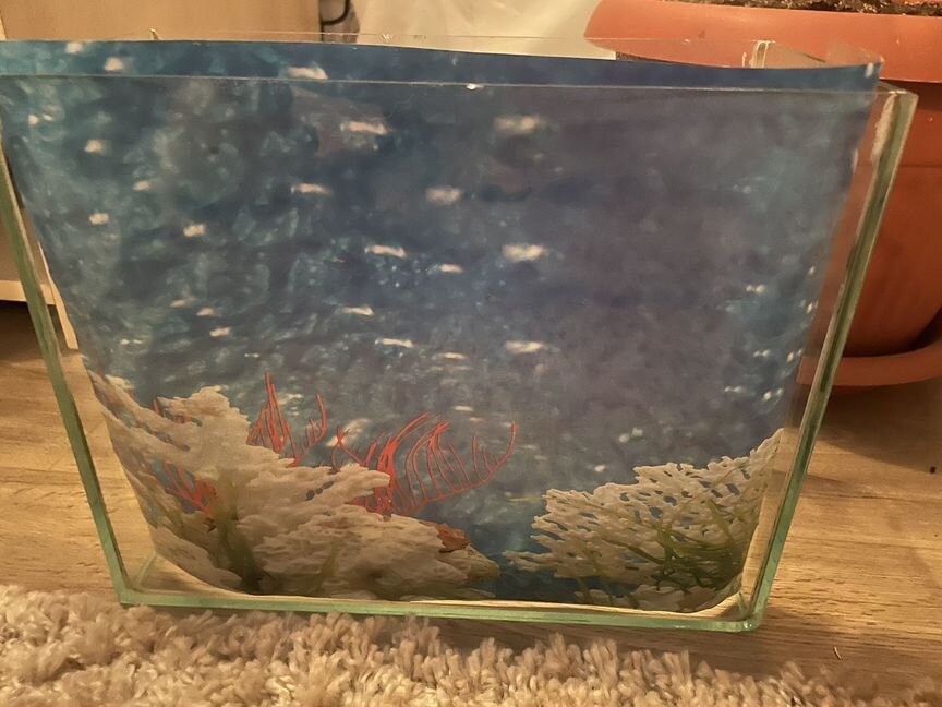 Аквариум 8 литров