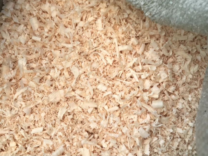 Древесная стружка сосна