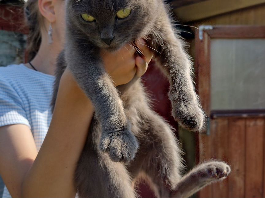 Кошечка подросточек