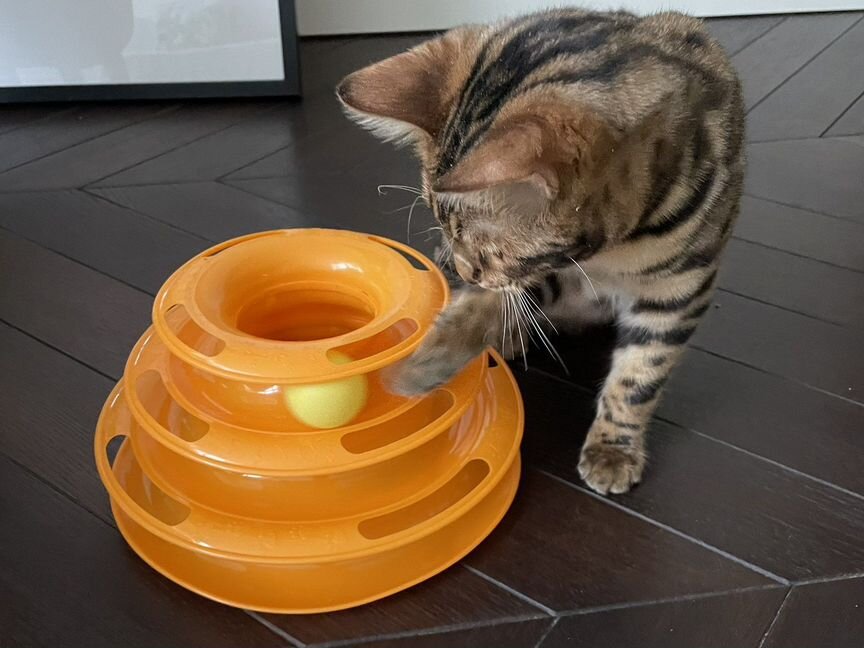 Игрушка для кошки / для котят