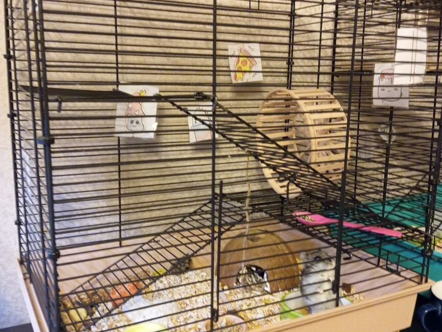 Клетка для хомяков