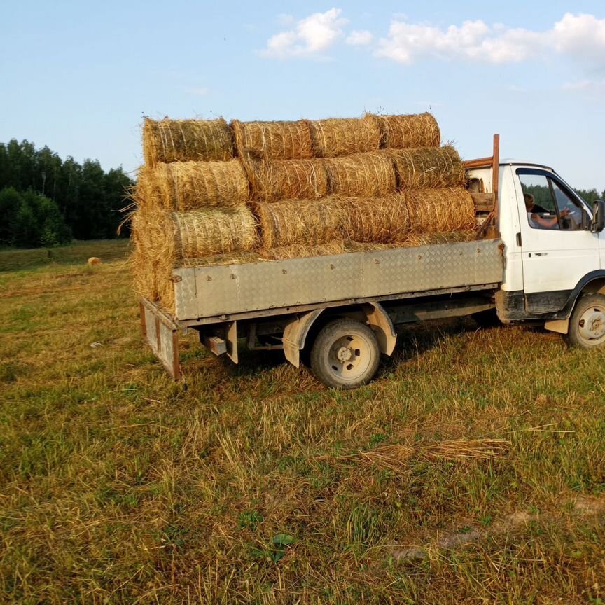 Сено 40% клевер в рулонах 15-20кг