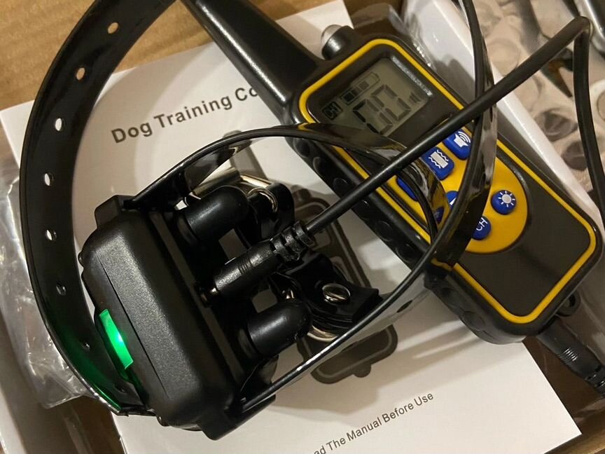 Электро ошейник