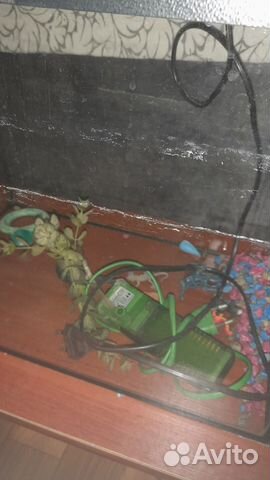 Аквариум