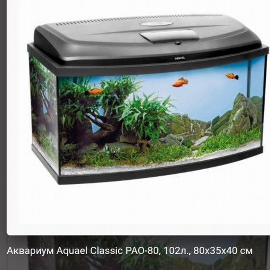 Аквариум