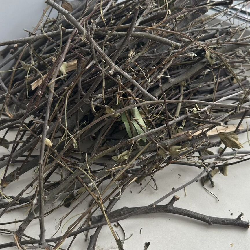 Лакомство для грызунов