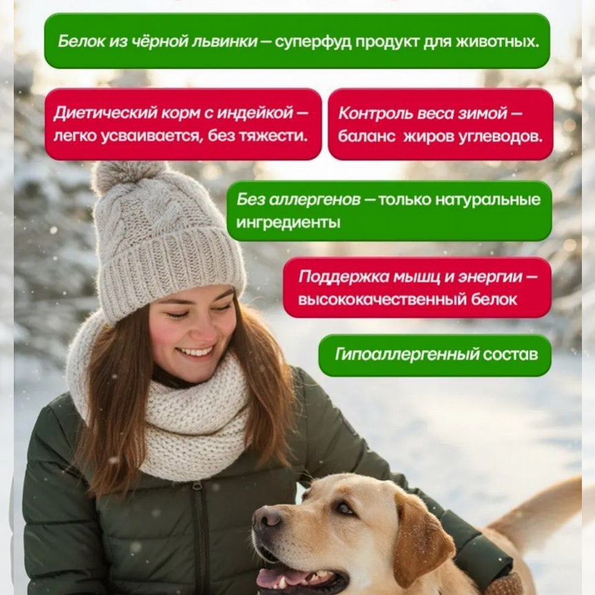 Корм для собак