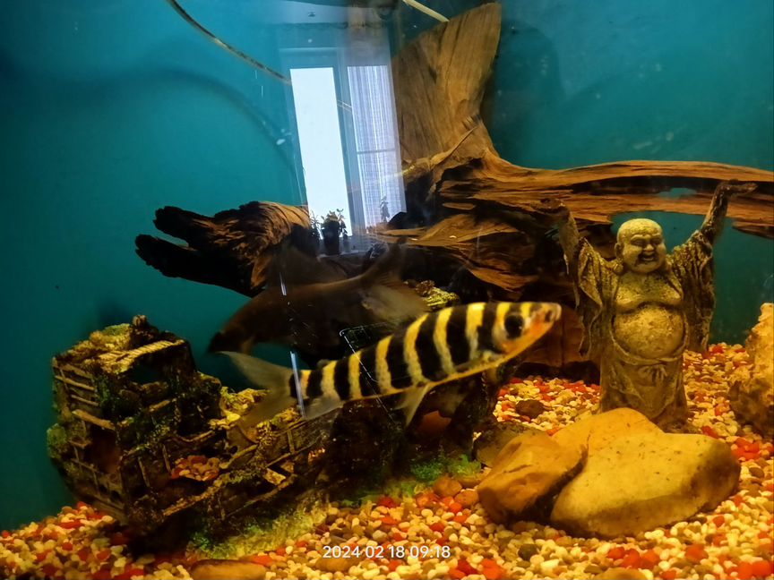 Украшение для аквариума