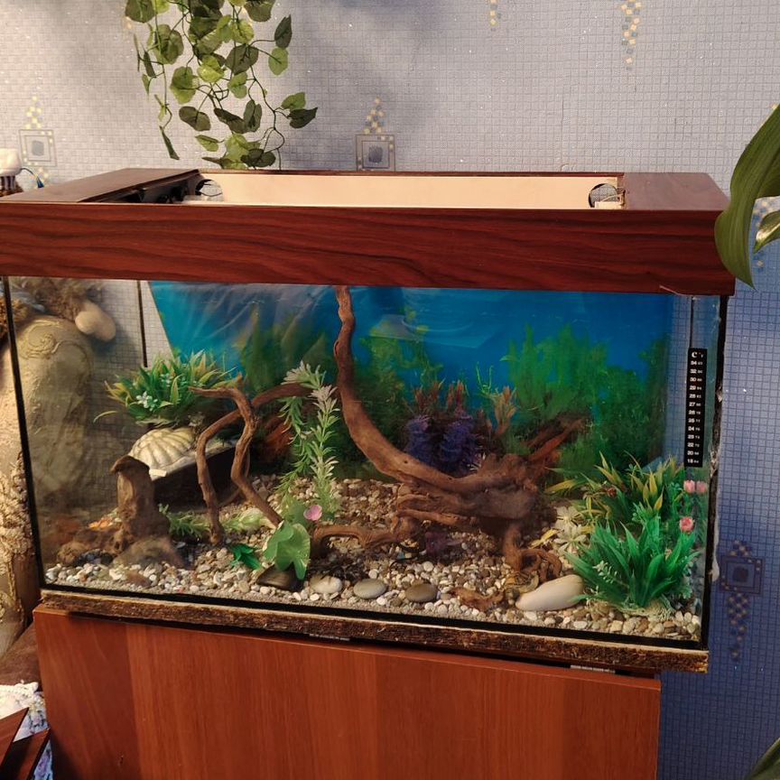 Аквариум 100литров