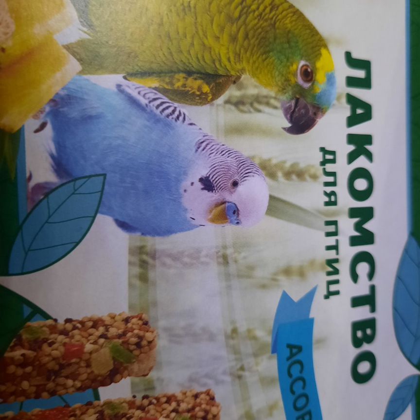 Лакомства для попугаев