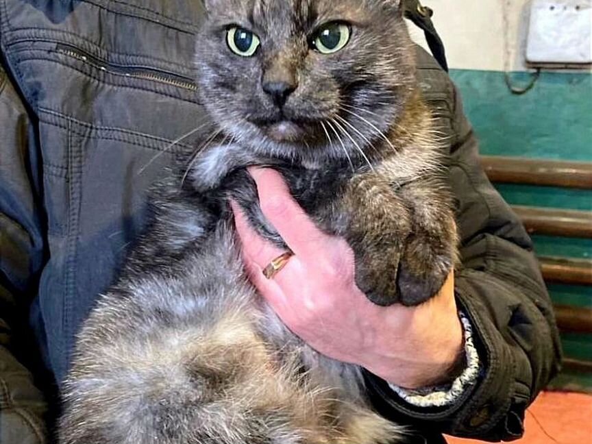 Мэнси