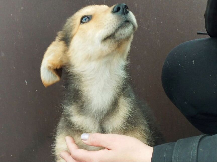 Сестрёнки в активном поиске