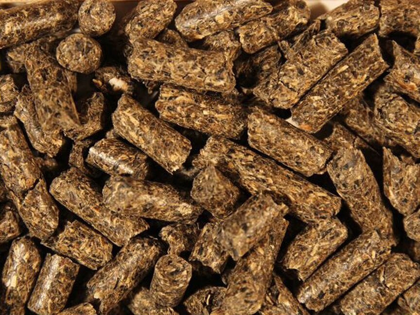 Шрот подсолнечника оптом