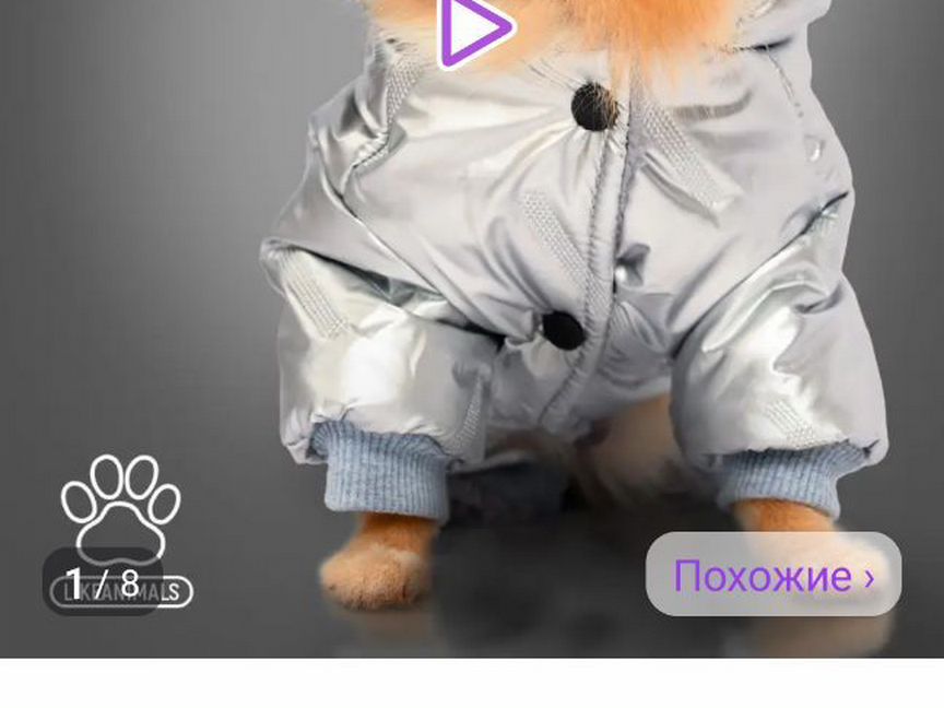 Зимний комбинезон для маленькой собаки