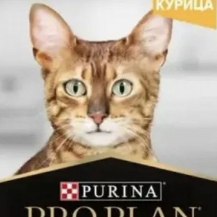 PRO plan, Курица, 3 кг