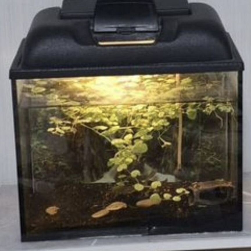 Аквариум 30 литров