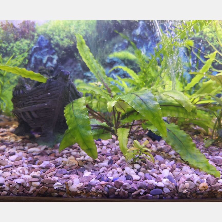 Украшение для аквариума