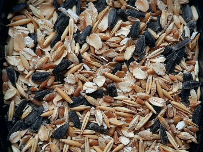 Корм для грызунов