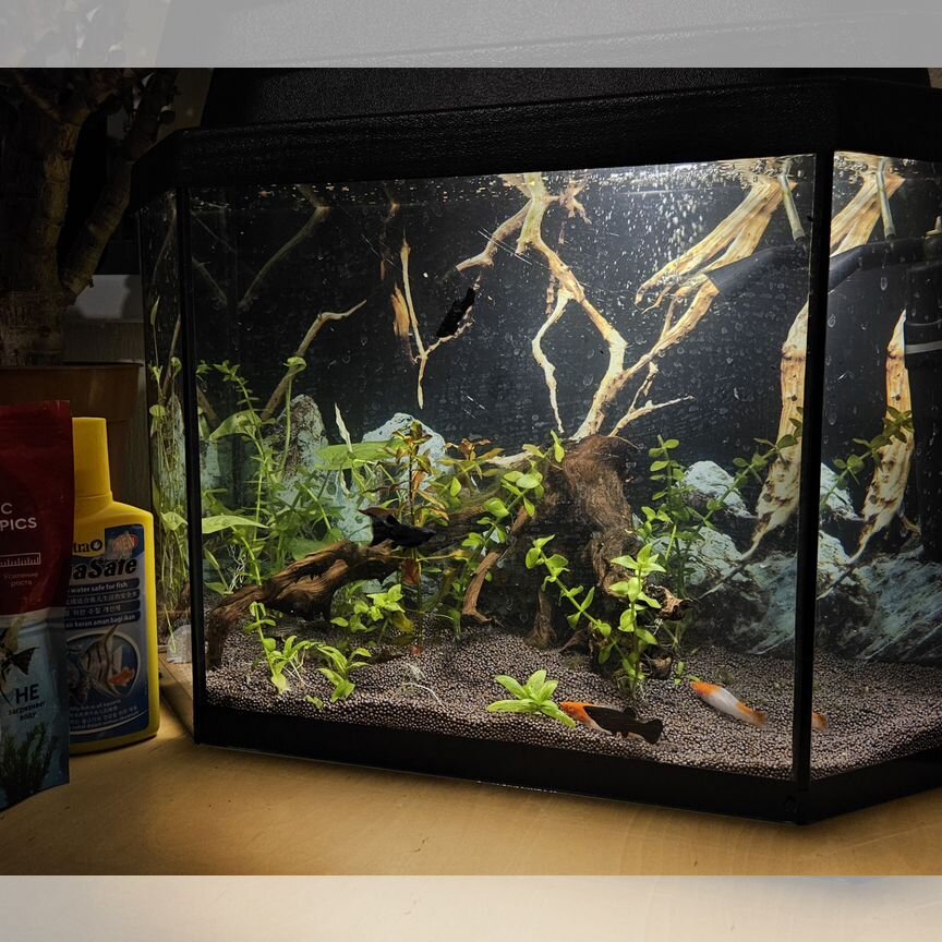 Аквариум 45-50л