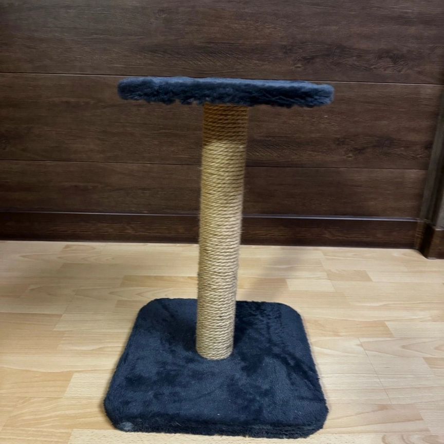 Когтеточка