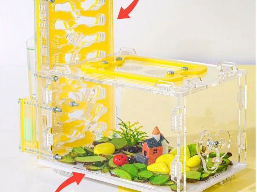 Муравьиная ферма с автоувлажнением