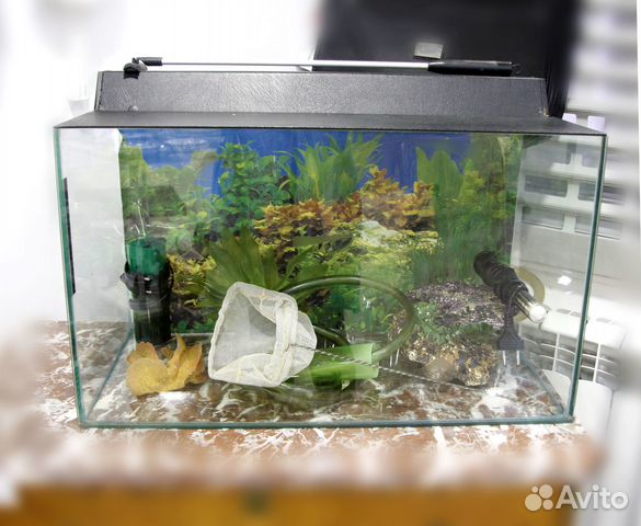 Аквариум 60 литров
