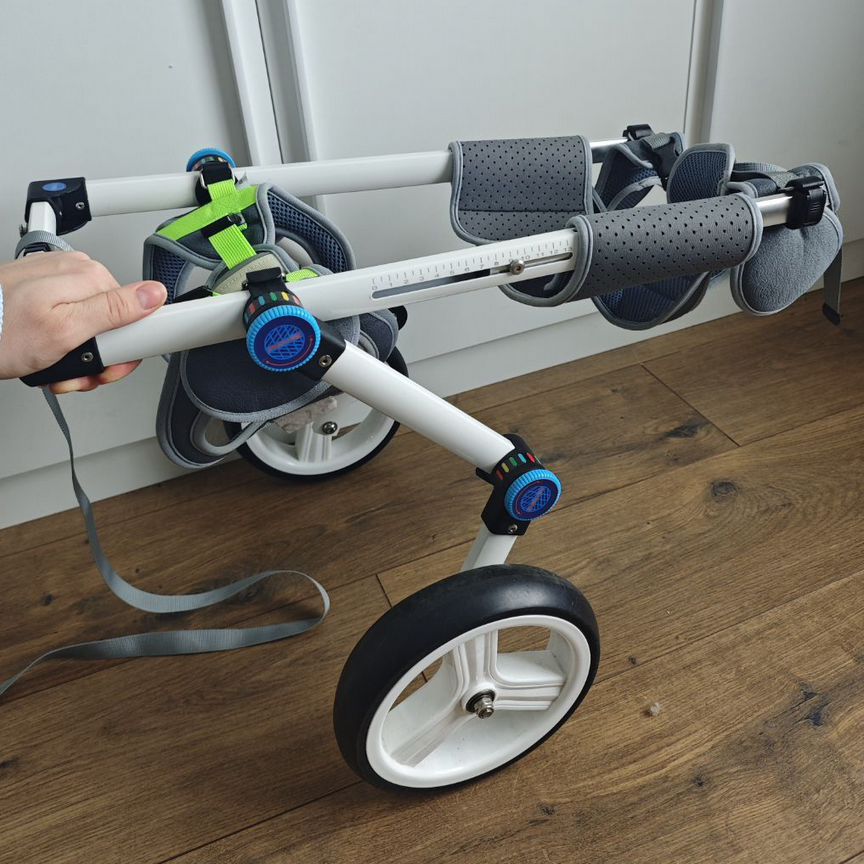 Инвалидная коляска для животных