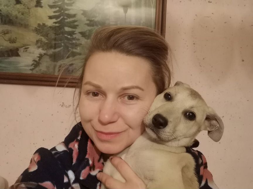 Собака в добрые руки