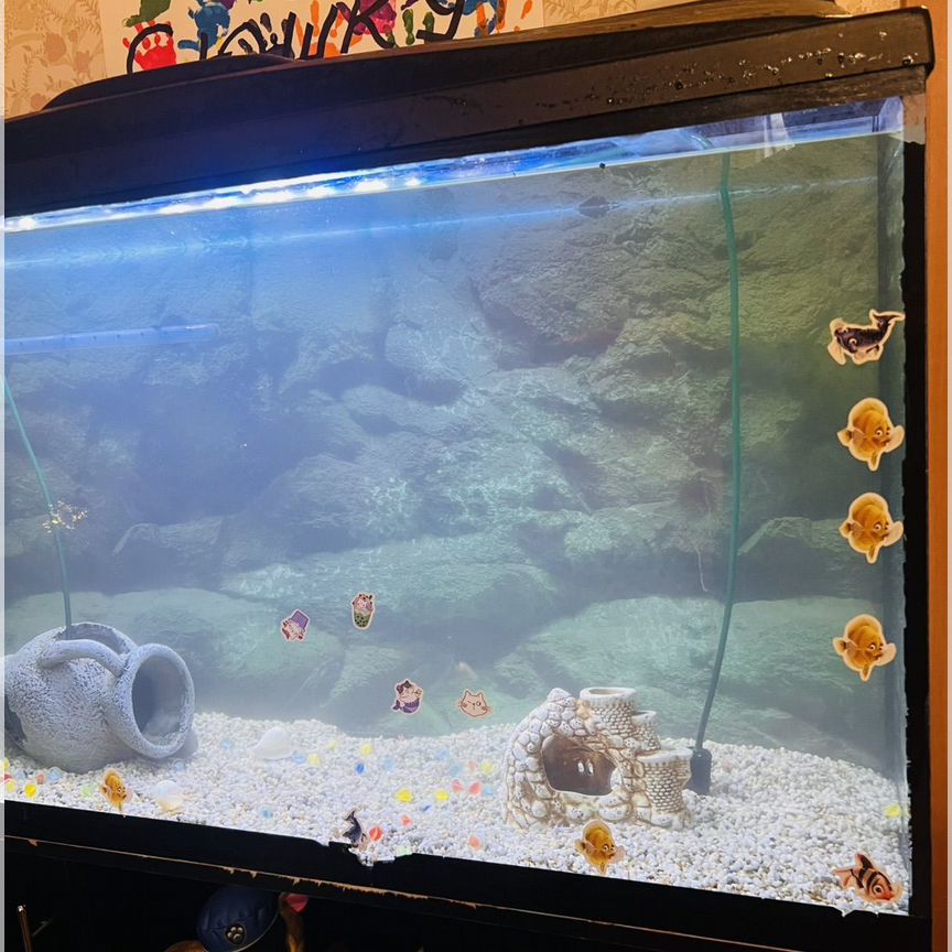 Аквариум