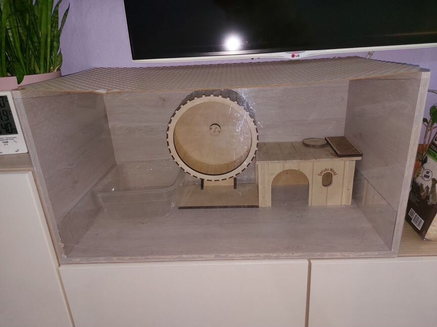 Витрина для хомяка