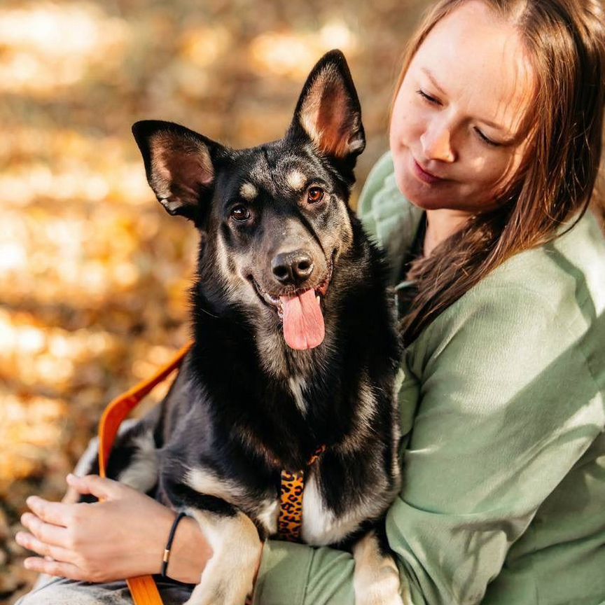 Нуара в добрые руки