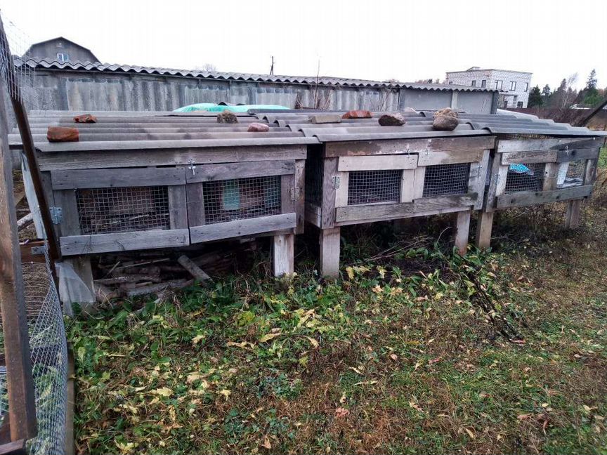 Клетка для кролика