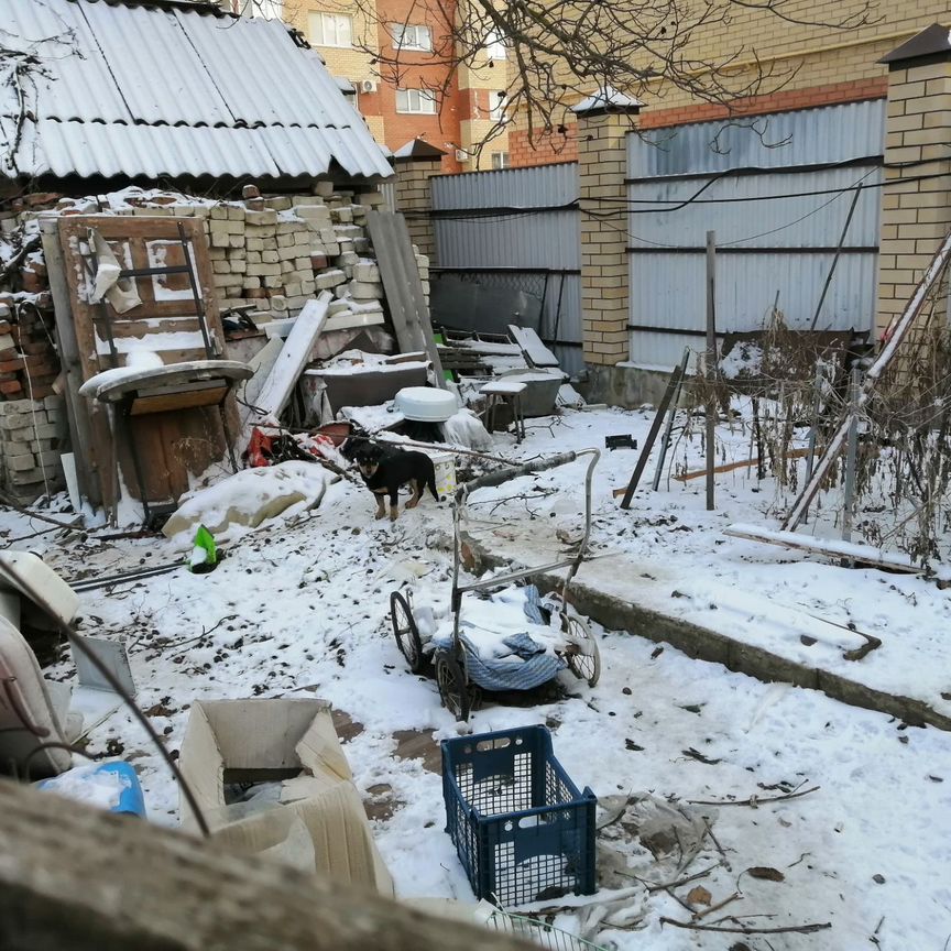 Приблудилась маленькая собачка. Может кто ищет