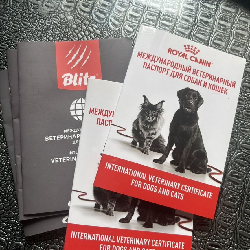 Вет паспорт