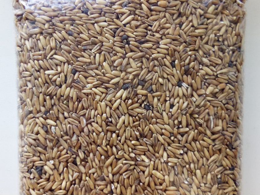 Овсяная крупа кормовая