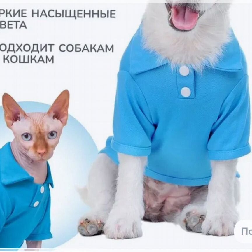 Polo для кошки