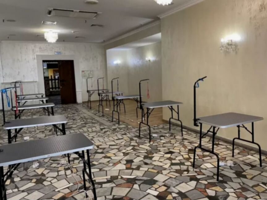 Стол для груминга