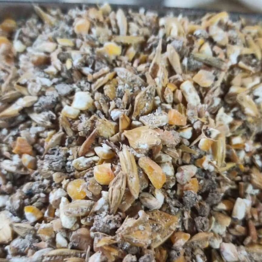 Зерносмесь овёс