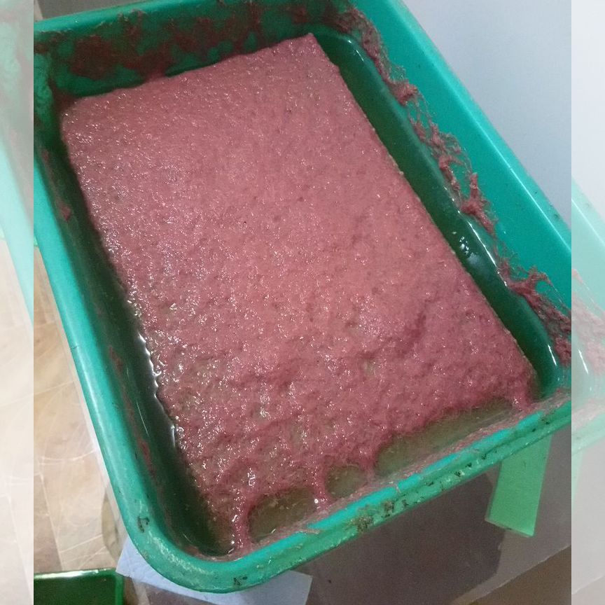Аквариумные рыбки гуппи, креветки, трубочник