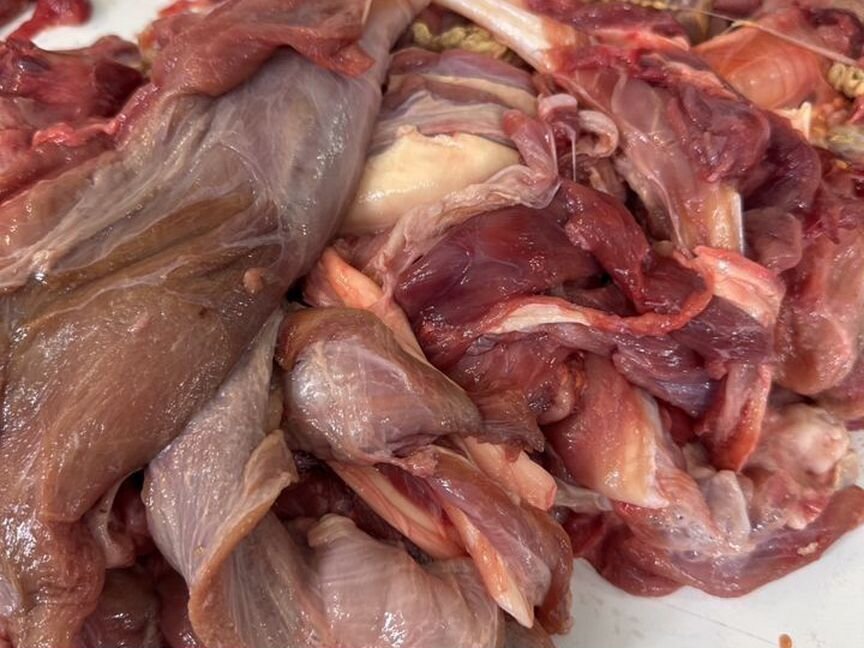 Говяжьи обрези для собак