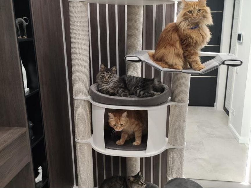 Домик для кошки с когтеточкой лежанкой