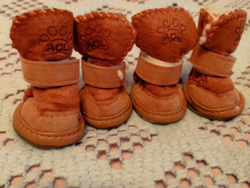 Ботинки для маленьких собак