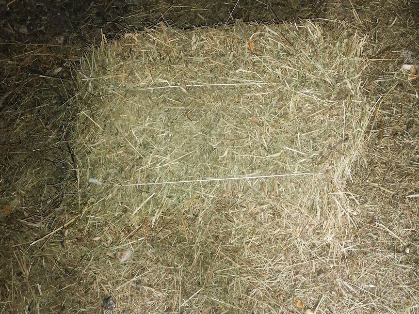 Сено в тюках разнотравье