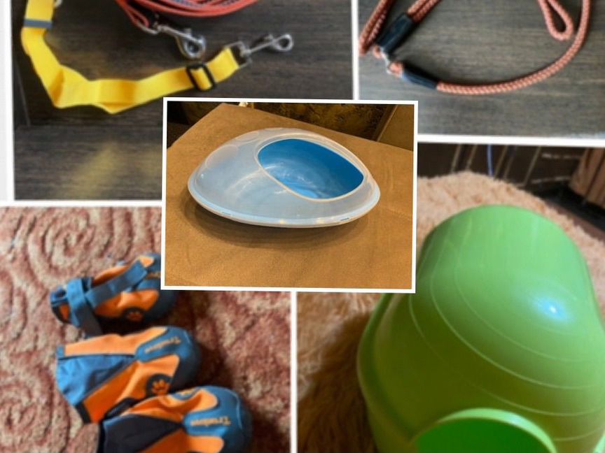 Товары для животных