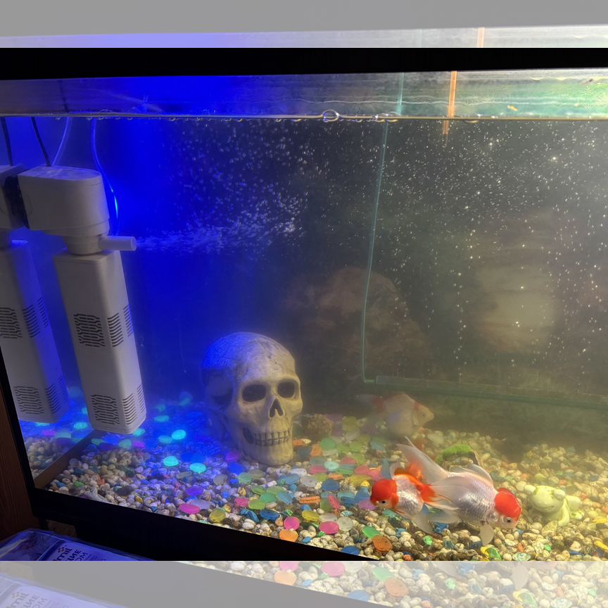 Аквариум с рыбками 250л