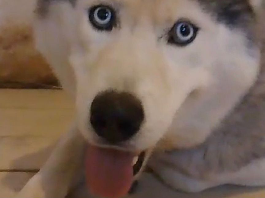 Добрый и милый