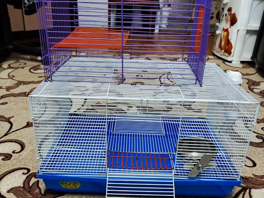 Клетка для грызунов бу