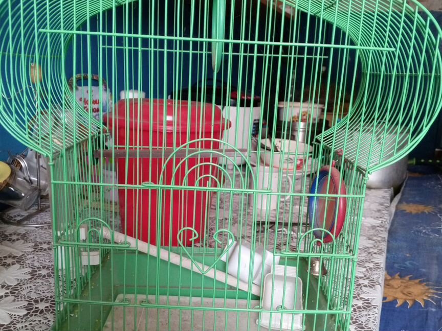 Клетка для попугая