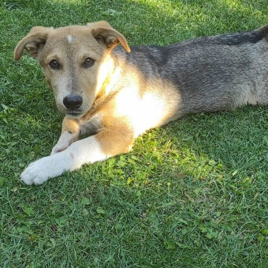 Малышарик 5 мес